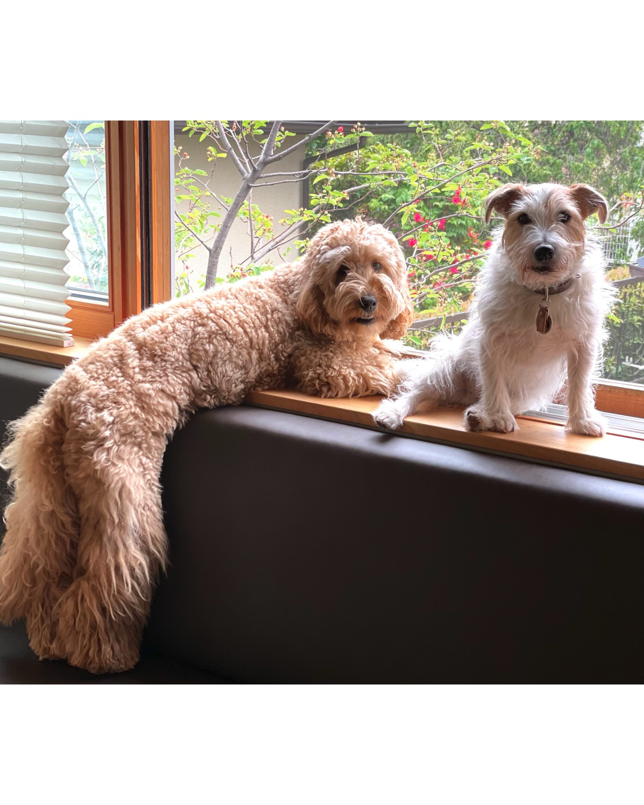 Image 2 | nounours books by CHECK&STRIPE