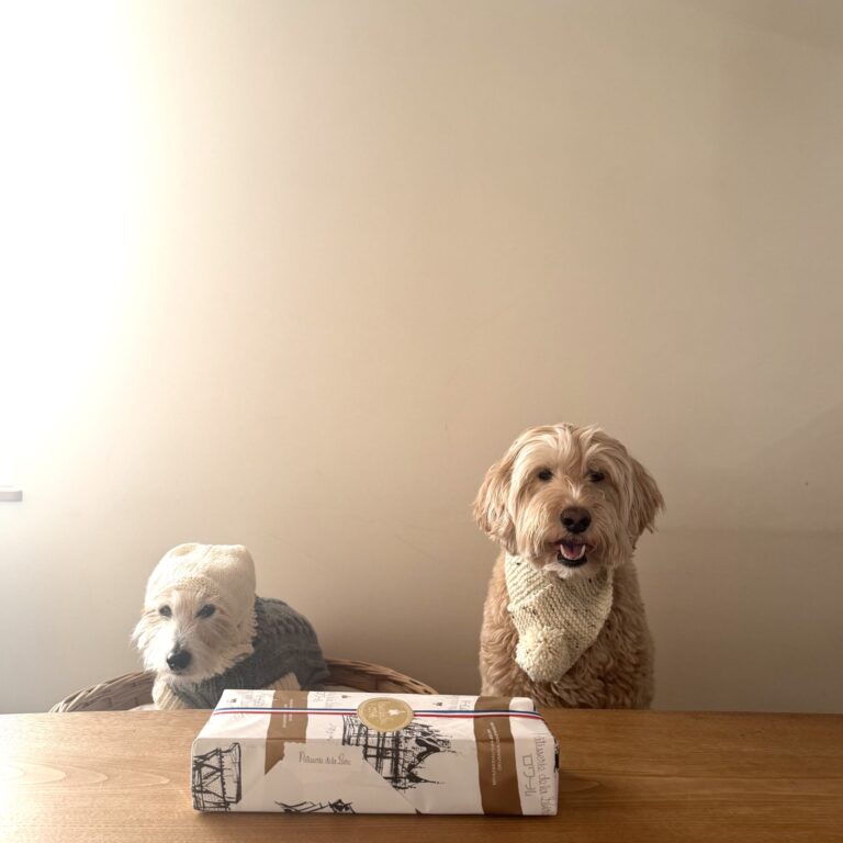 ロワールのブランデーケーキ | nounours books by CHECK&STRIPE