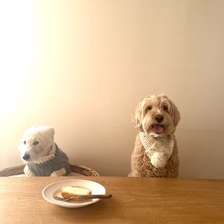 ロワールのブランデーケーキ | nounours books by CHECK&STRIPE